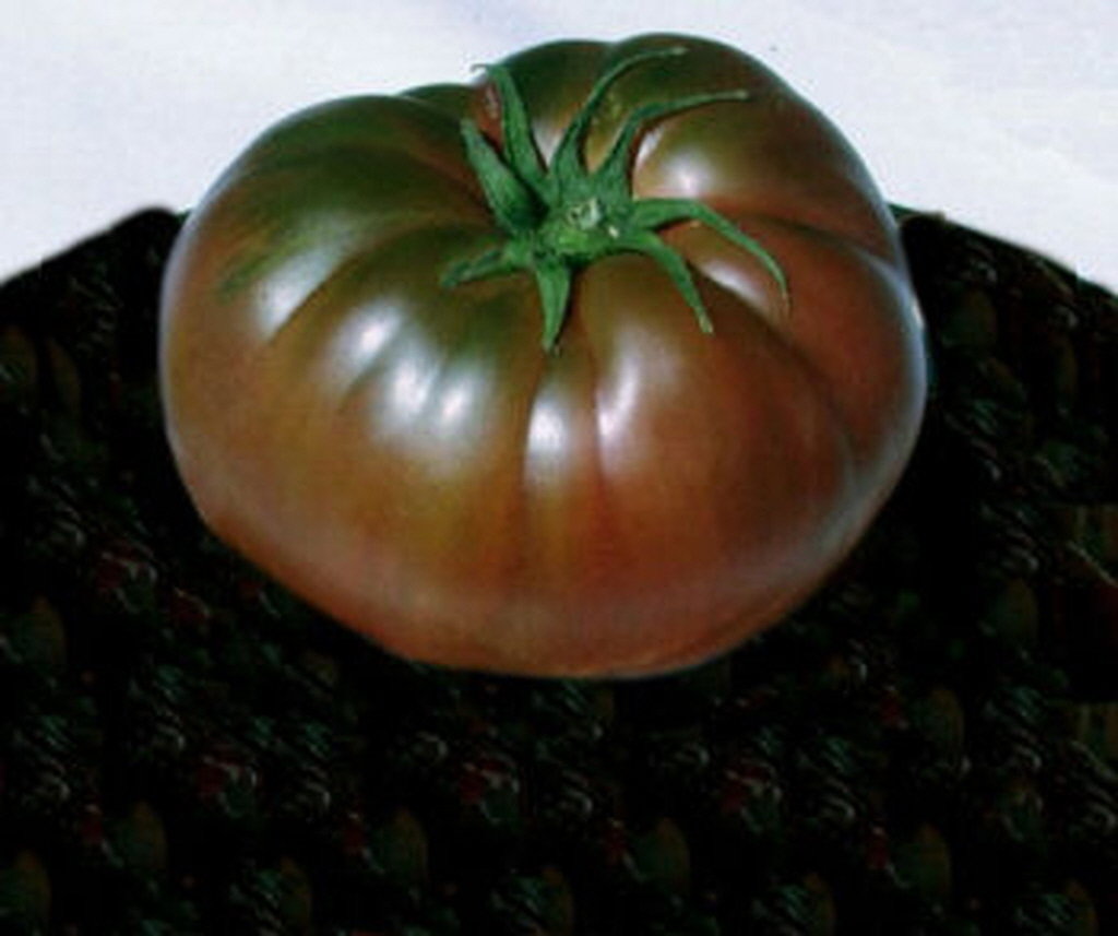 Sneckenströms Ekohandel - Black Krim